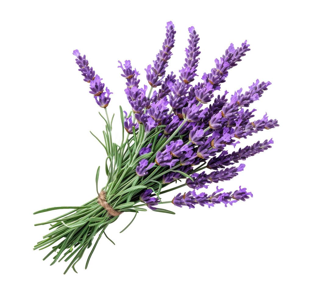 Stress Away | Soft Care